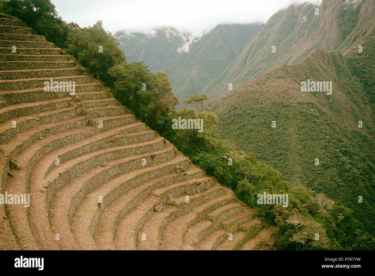 Agriculture centre terraces covered by grass with the Andes mountains ...