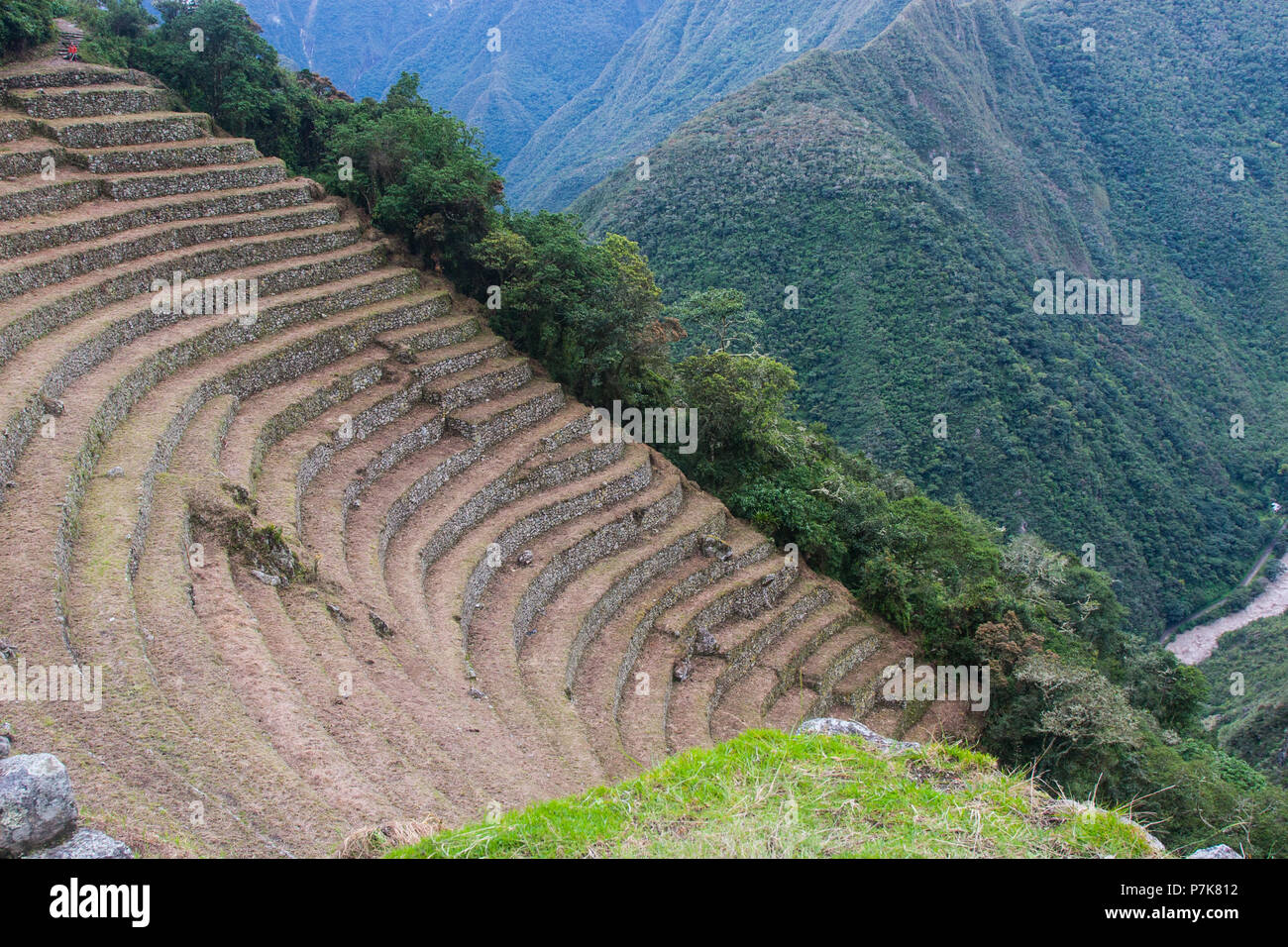 Agriculture centre terraces covered by grass with the Andes mountains ...