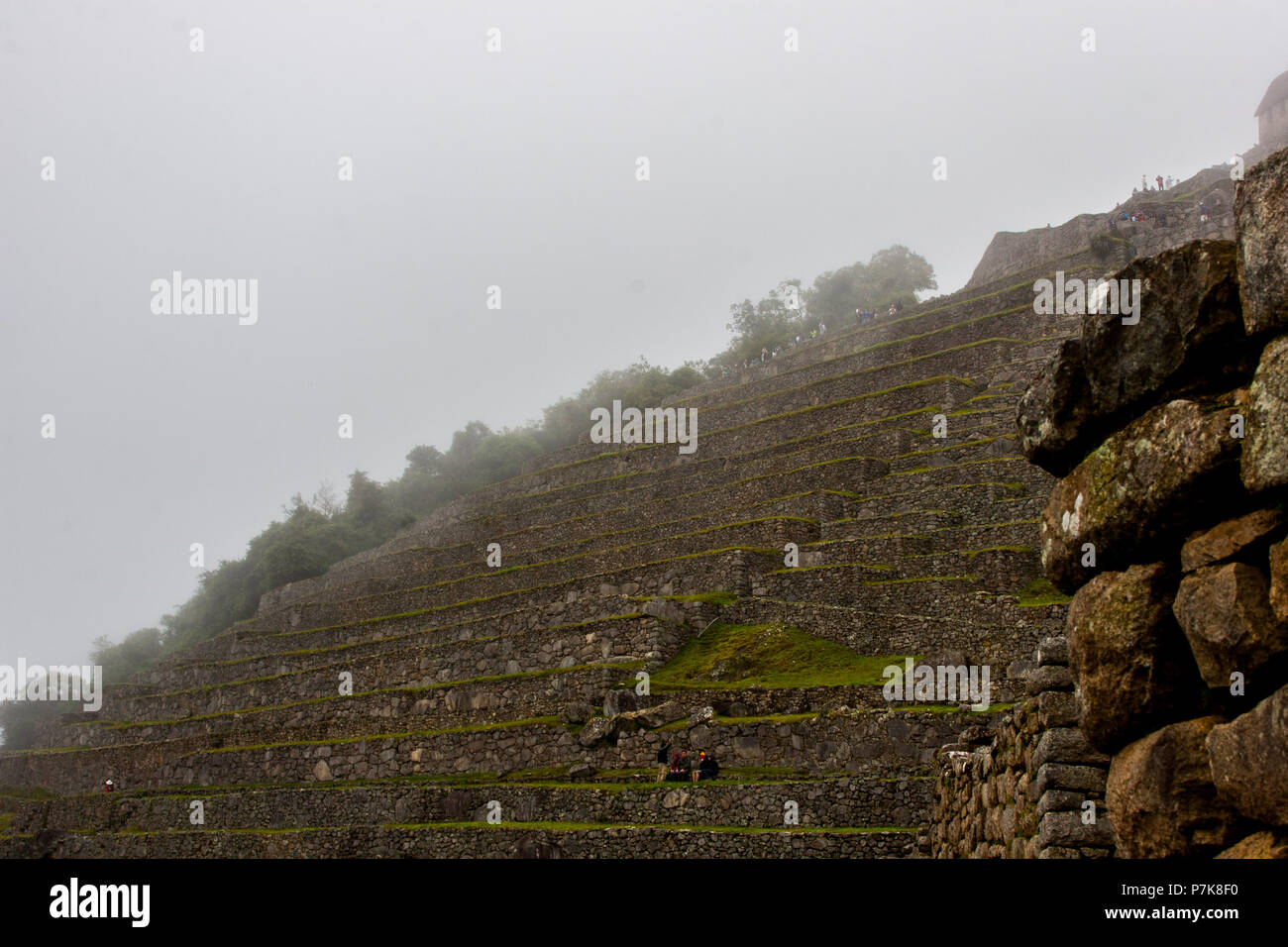 Beautiful wallpaper photo of Inca agriculture stone terraces with fog ...
