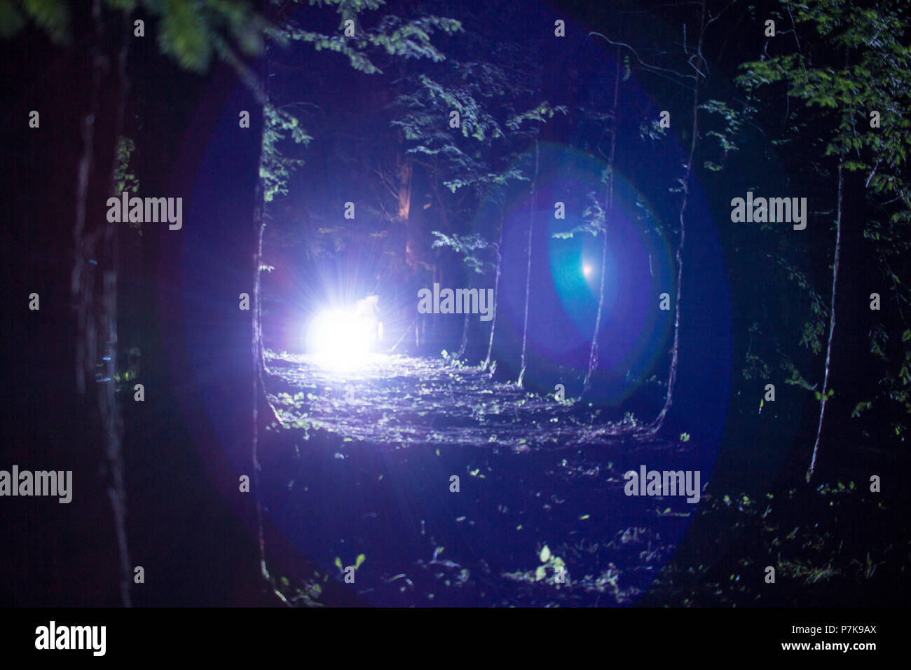 Night forest strange lights hi-res stock photography and images - Alamy