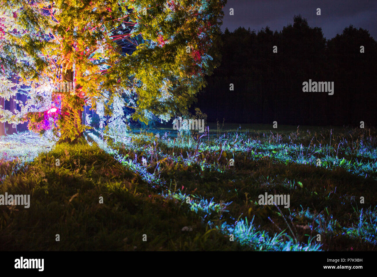 Unnatural colours hi-res stock photography and images - Alamy