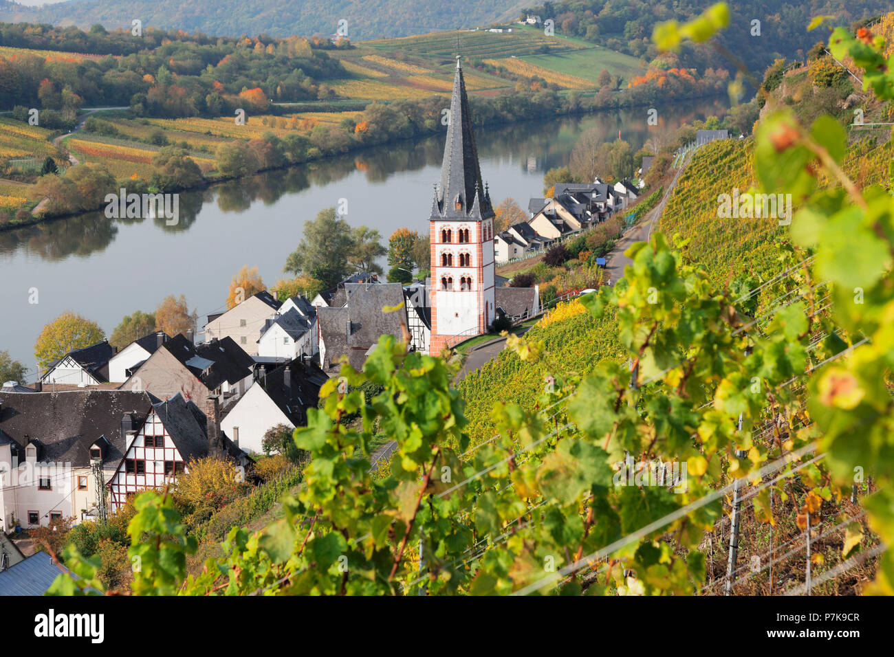 Zell merl mosel germany zell merl hi-res stock photography and images ...