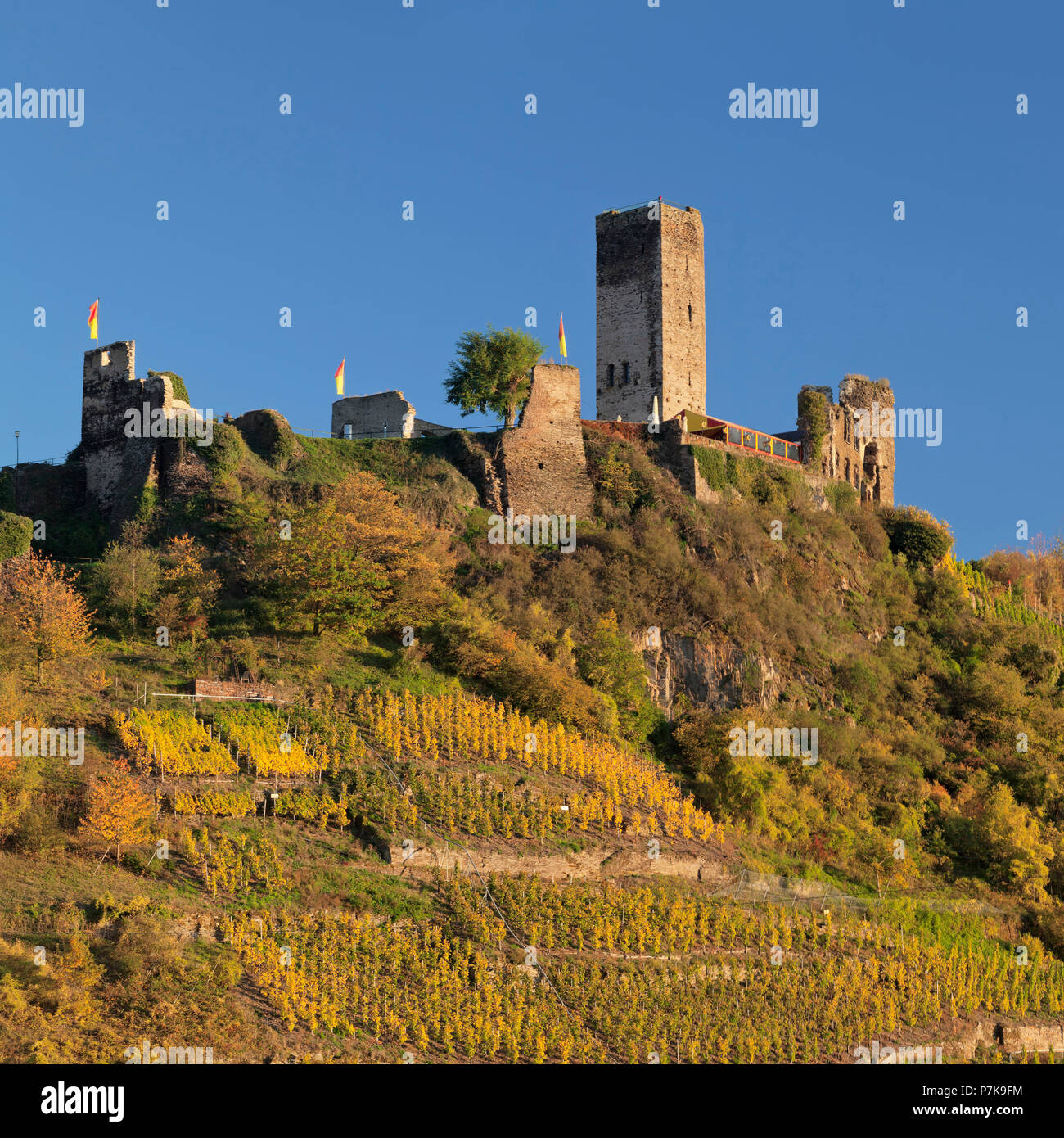 Castle ruin metternich beilstein germany hi-res stock photography and ...