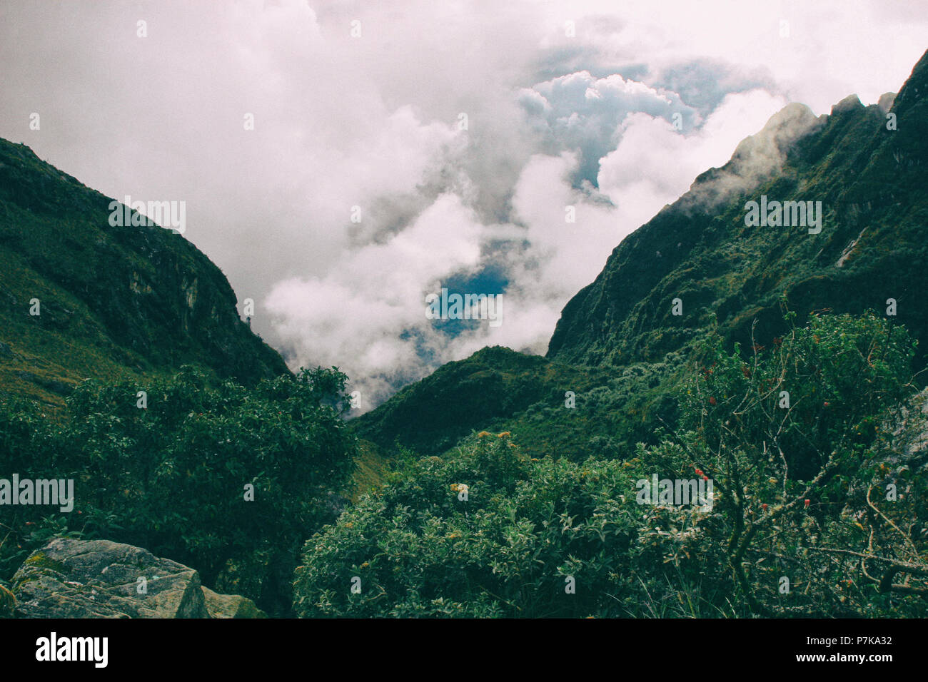 The green wild forest of the andes and impressive clouds formation on ...