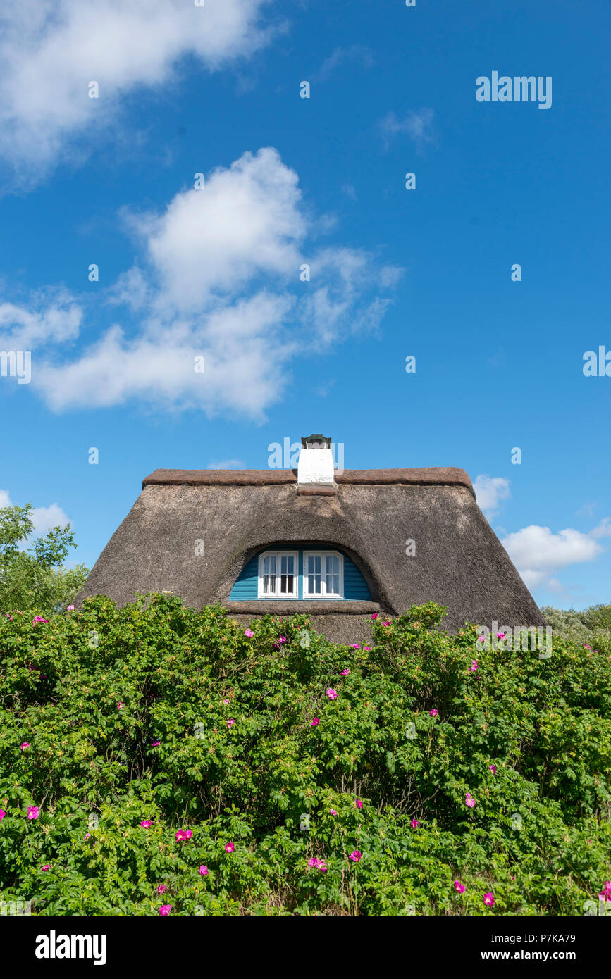 Juist east frisians germany hi-res stock photography and images - Alamy