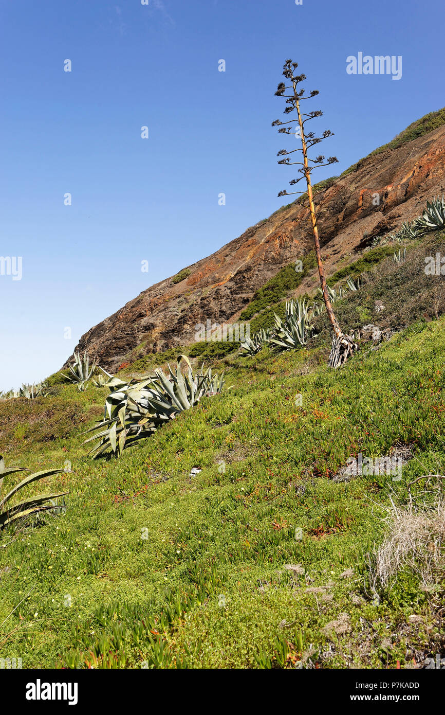Beach at Rogil, Praia da Samouqueira, between Rogil and Aljezur on the ...