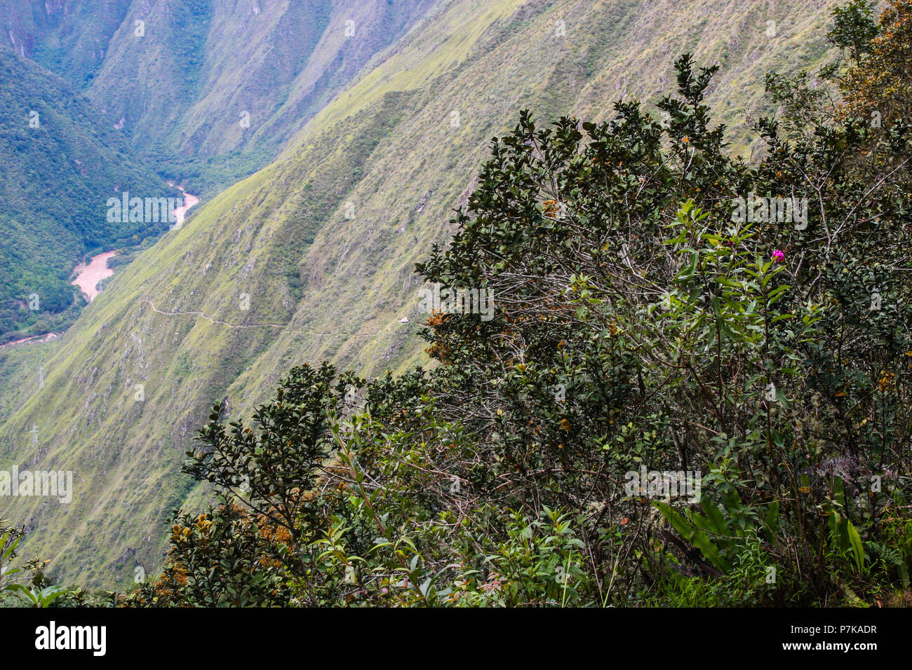A red water river in the valley surrounded by the wild nature of the ...