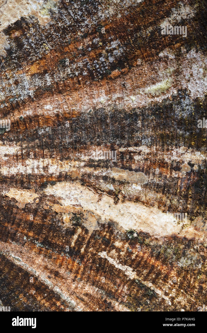 Structures in reclaimed wood, close-up, background Stock Photo - Alamy