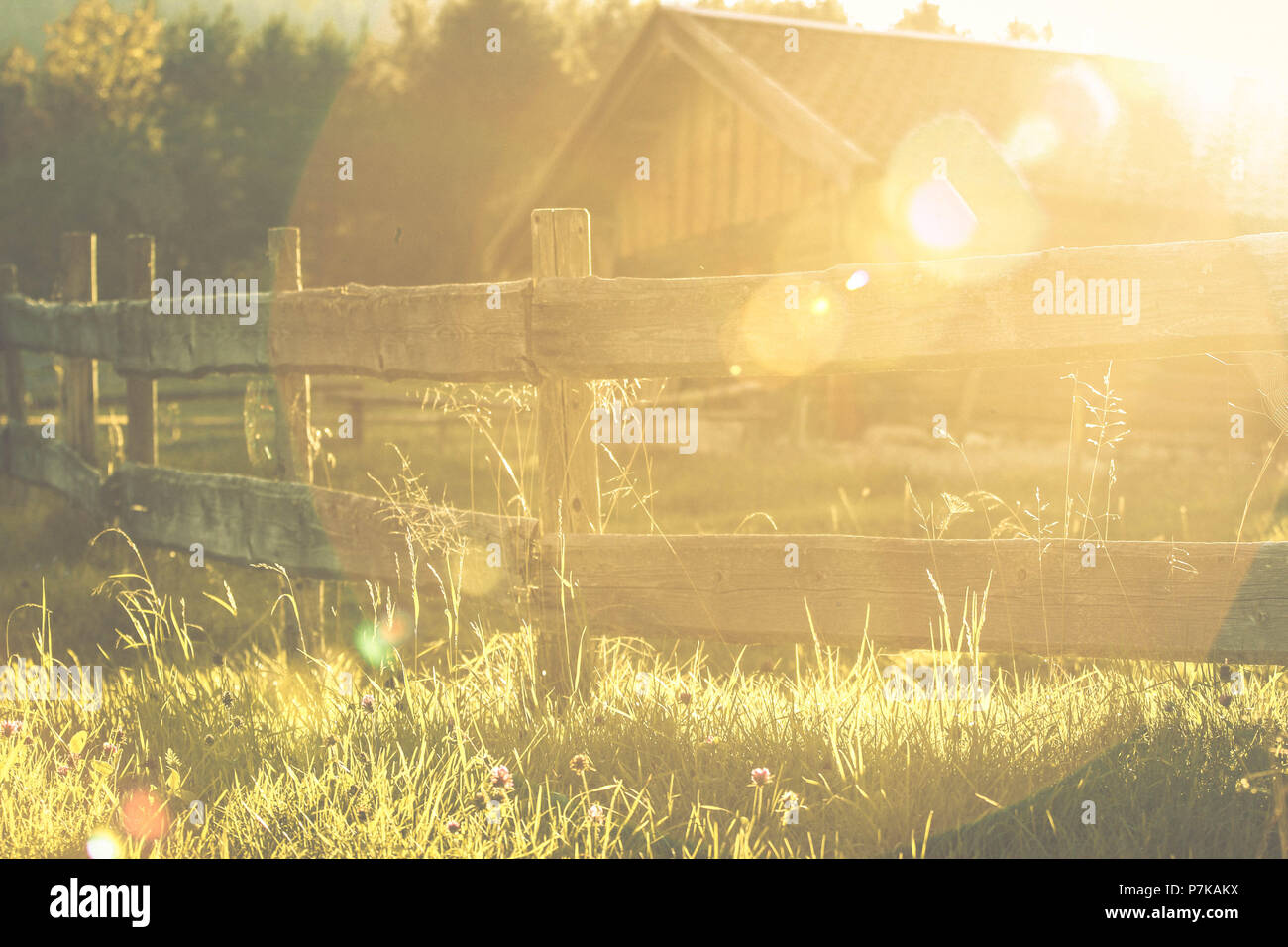 Meadow, barn, sun Stock Photo - Alamy