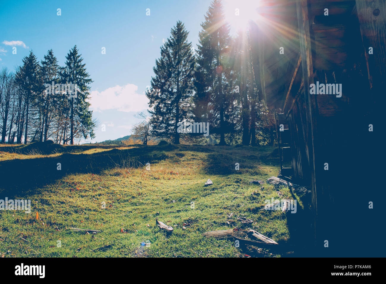 Meadow, barn, sun, backlight Stock Photo - Alamy