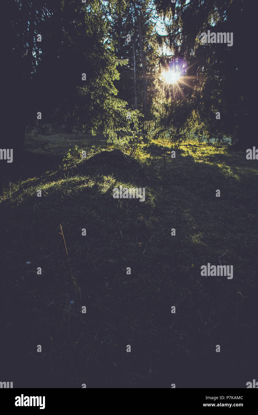 Bright spot light hi-res stock photography and images - Alamy