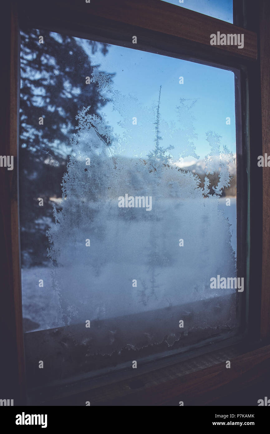Window, ice flowers Stock Photo - Alamy