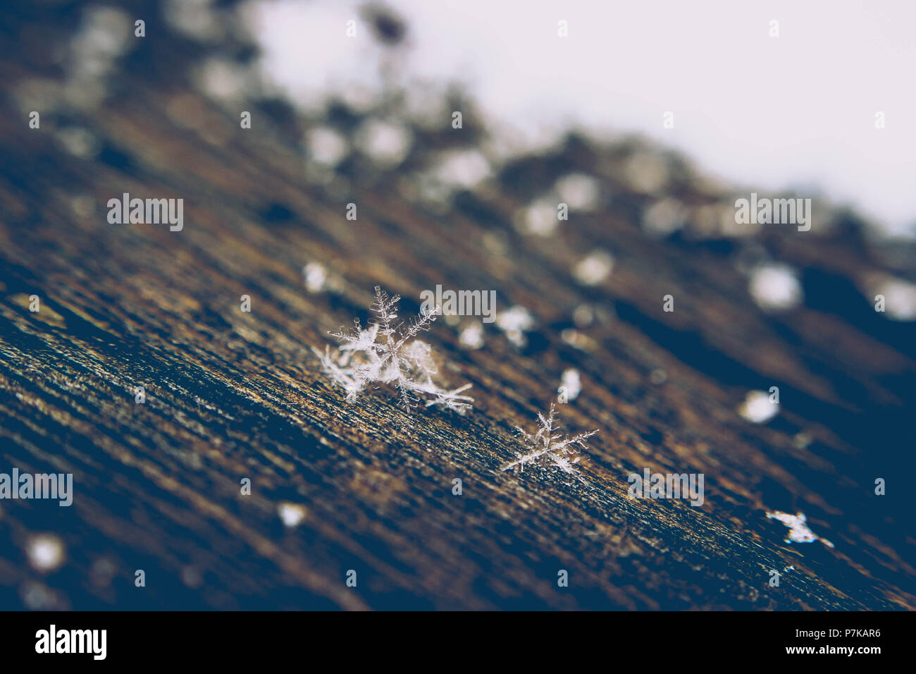 Extreme close up snowflake hi-res stock photography and images - Alamy