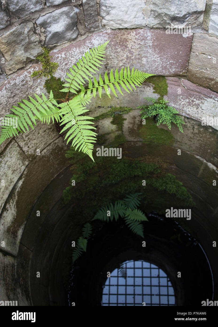 View into a well Stock Photo - Alamy