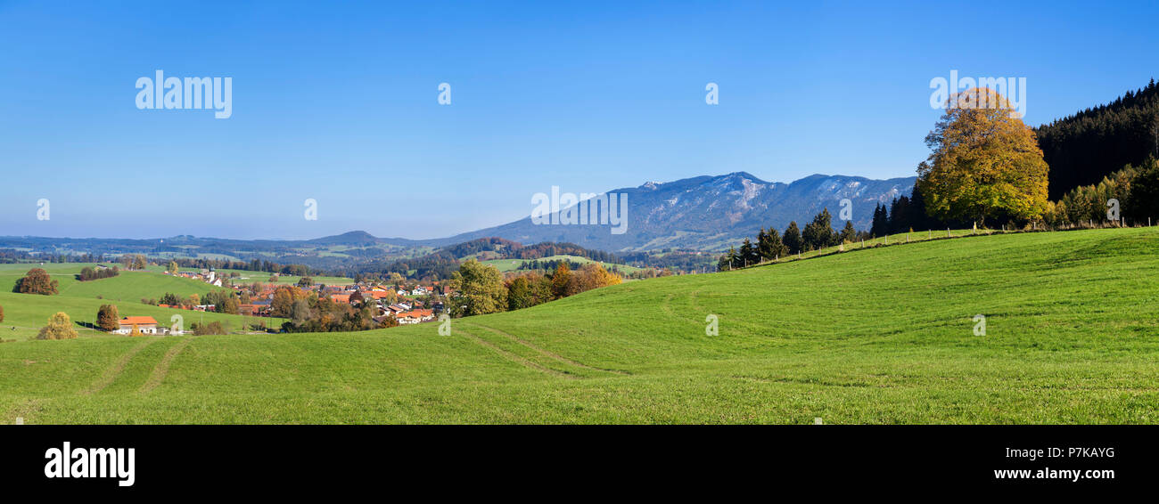 Field landscape with tree at Seeg, Ostallgäu, Bavaria, Germany Stock ...