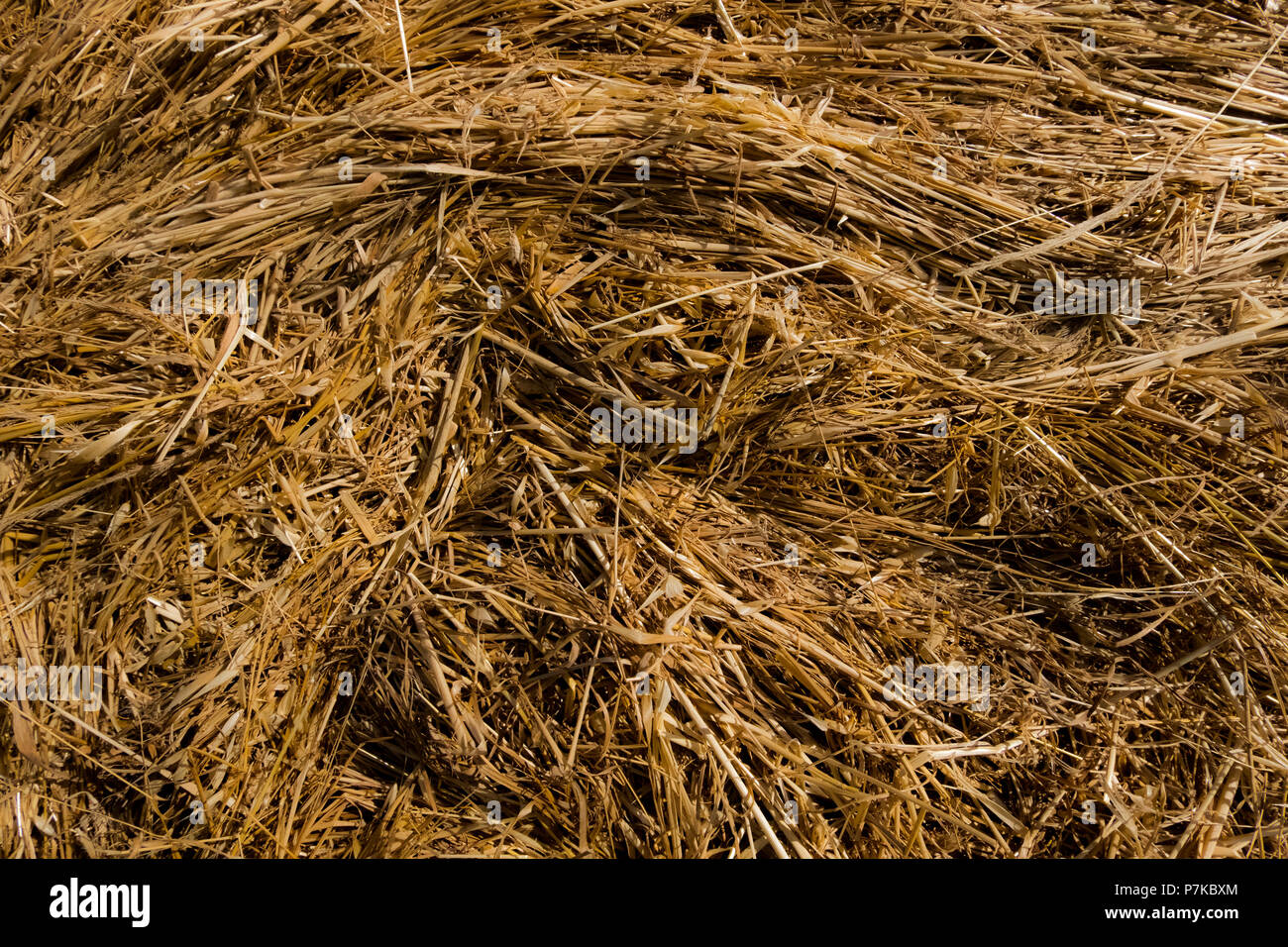 Detail of a hay roll texture. Beautiful wallpaper background image of ...