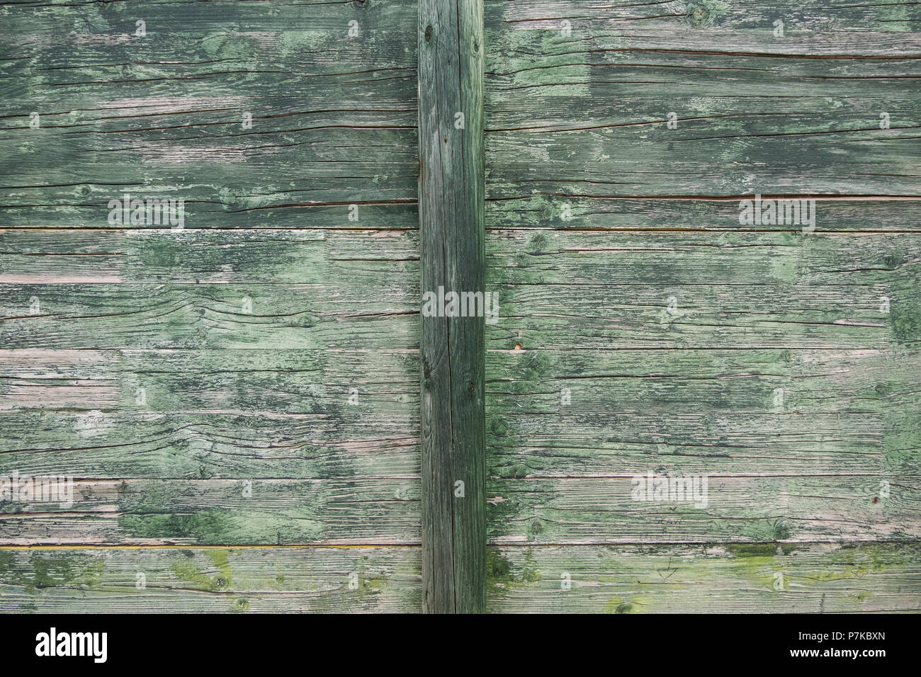 Beautiful wallpaper texture of worn green rusty paint in a wood plank ...