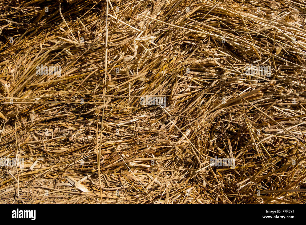 Detail of a hay roll texture. Beautiful wallpaper background image of ...