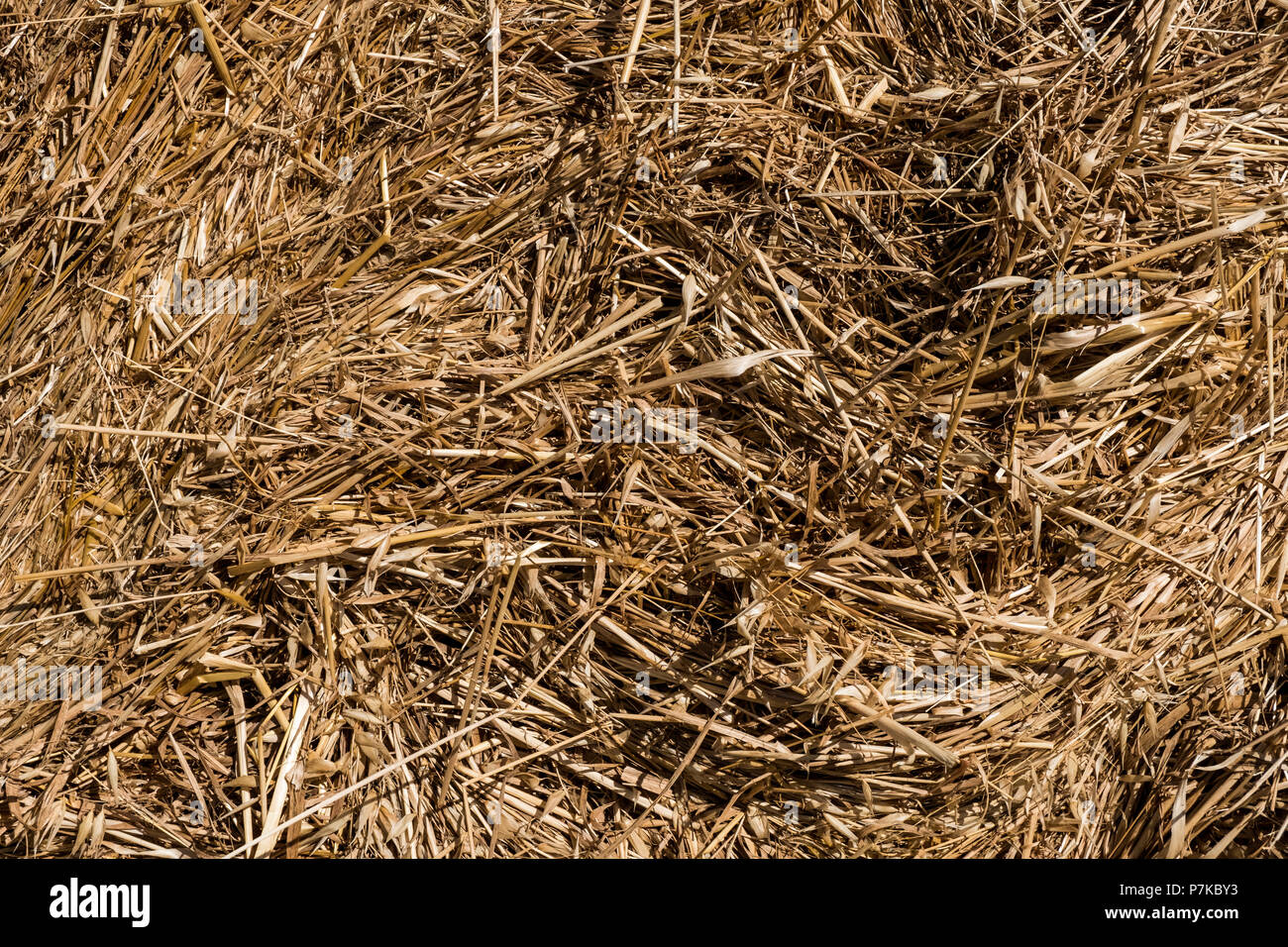 Detail of a hay roll texture. Beautiful wallpaper background image of ...