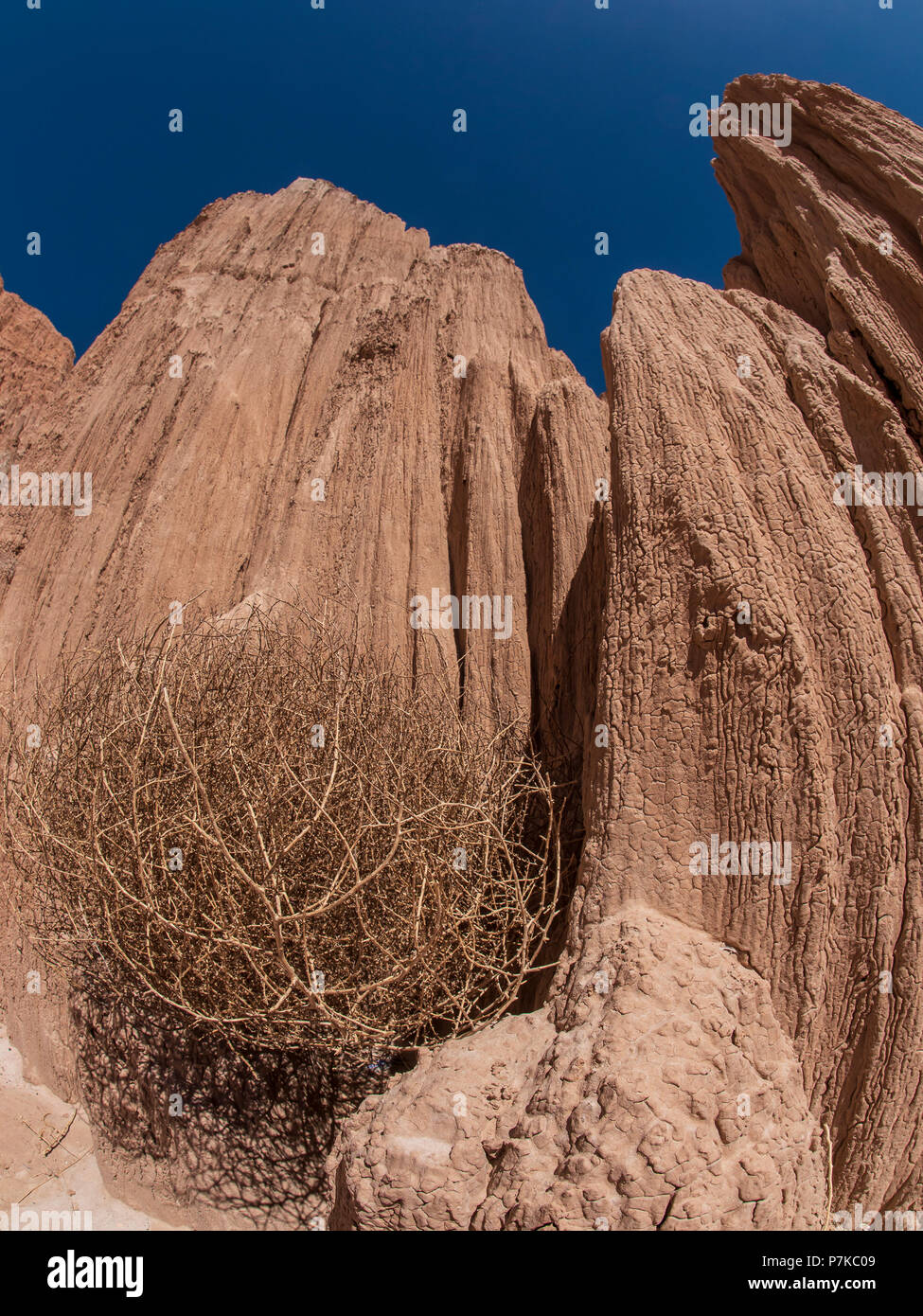 Tumbleweed, Cathedral Gorge State Park, Panaca, Nevada Stock Photo - Alamy