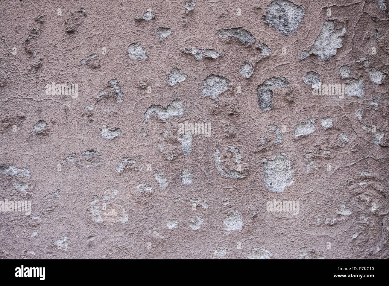 Wallpaper texture of worn concrete wall colored in salmon paint with ...