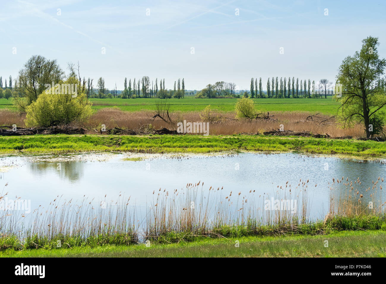Dyke Marsh High Resolution Stock Photography and Images - Alamy