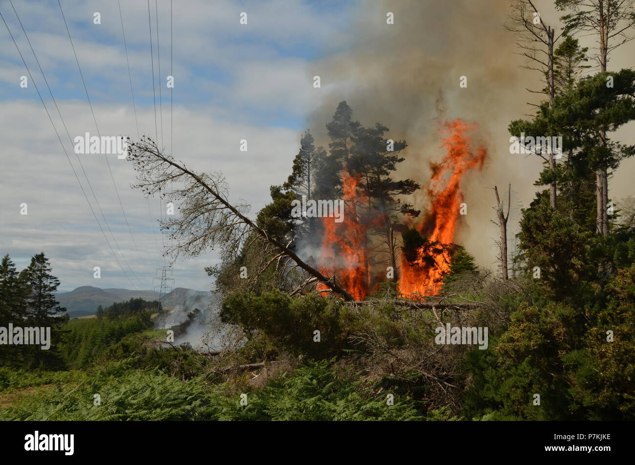 Hill Fire on Ben Bhraggie, on the Sutherland Estate, near Golspie ...