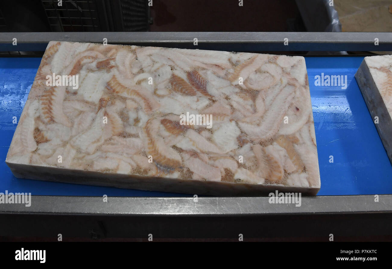 25 June 2018, Germany, Bremerhaven: A frozen block of fish is ...