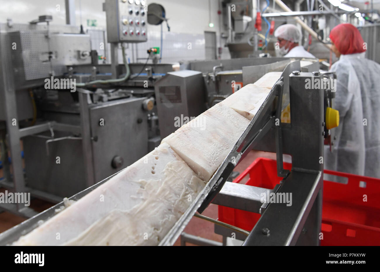 Bremerhaven, Germany. 25th June, 2018. FROSTA employees standing beside ...