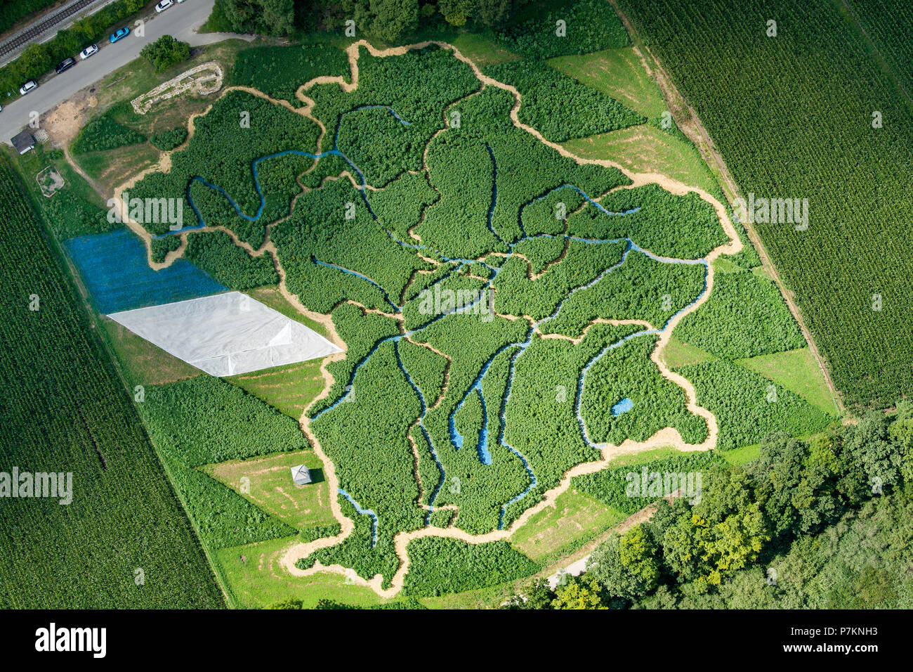 Utting, Germany. 07th July, 2018. An aerial photograph shows a field on ...