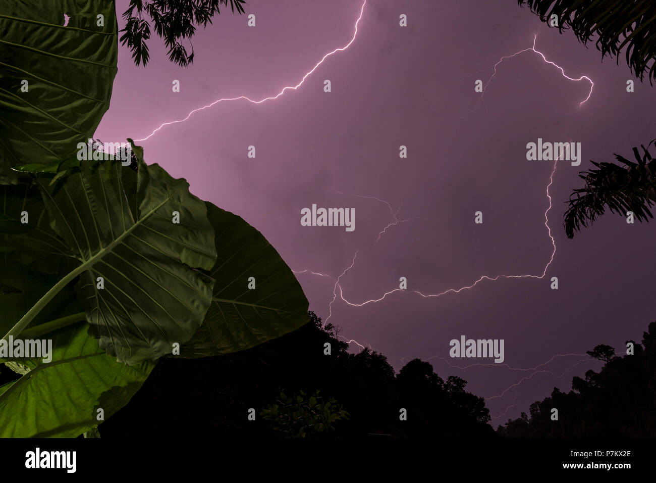 Lightning night sky hi-res stock photography and images - Alamy