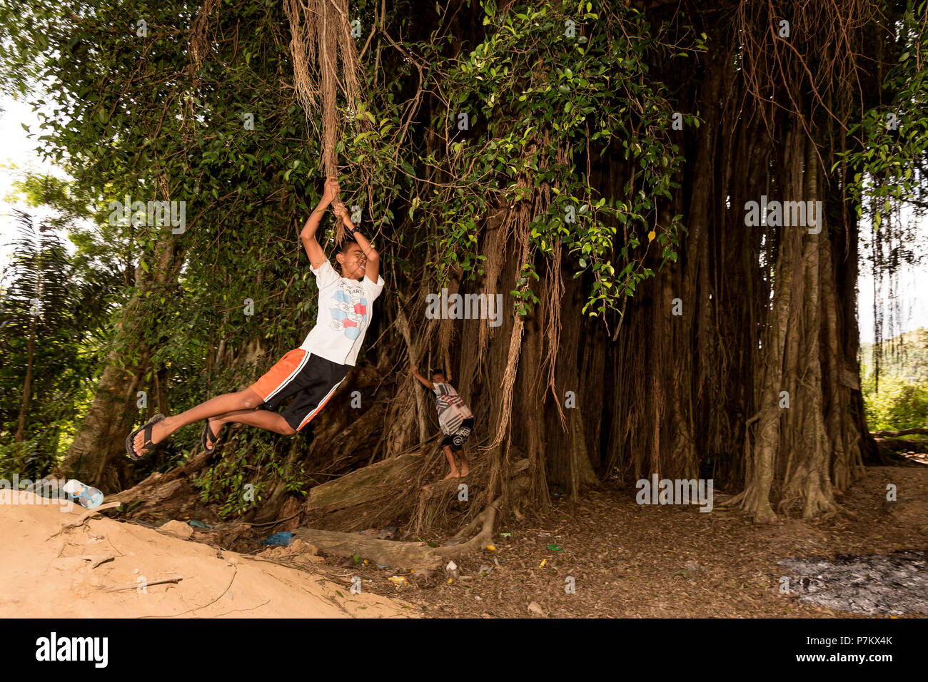 Children playing in a banyan tree Stock Photo - Alamy