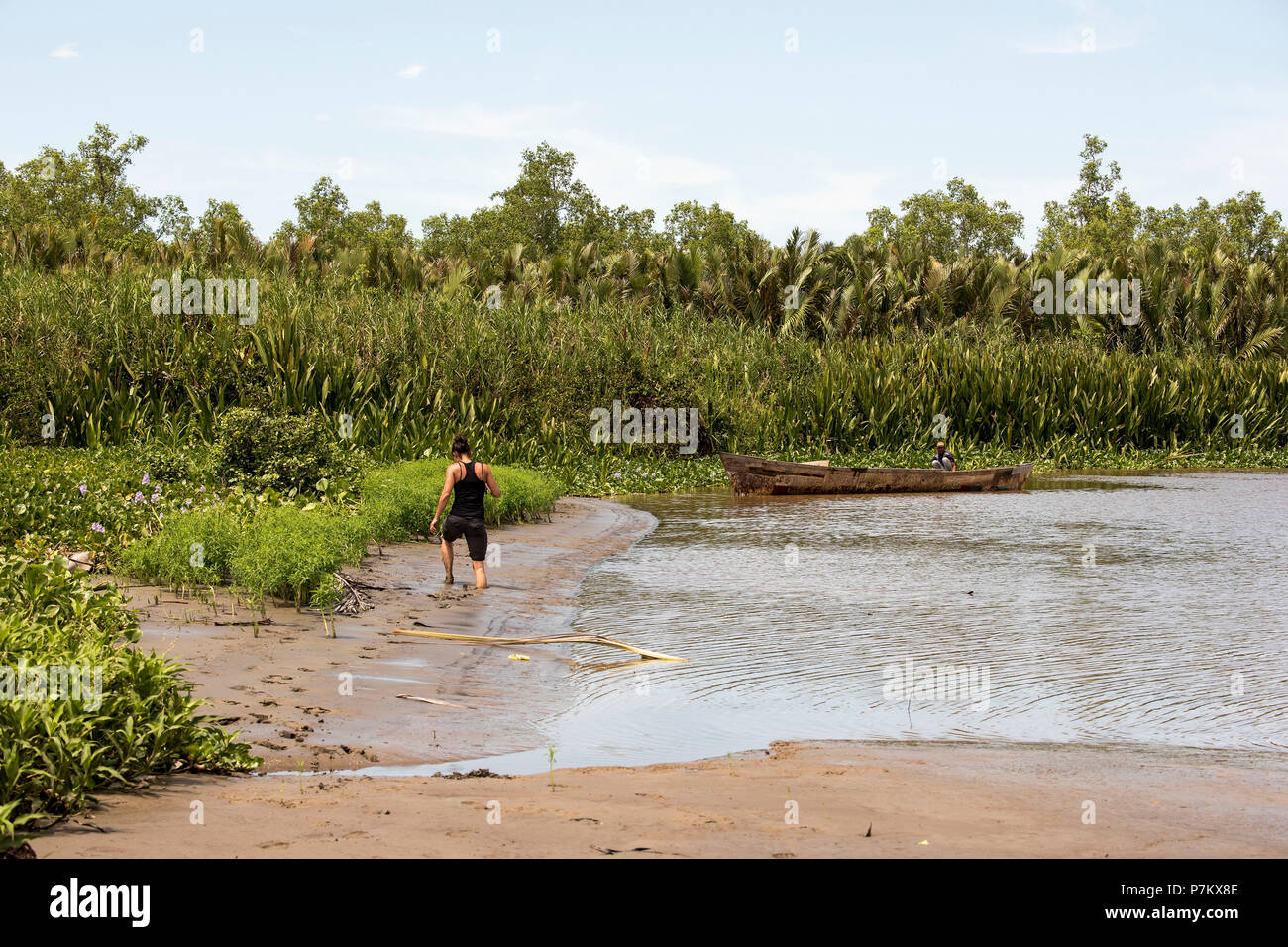 Young woman wading through the mud in the river delta of Singkil ...