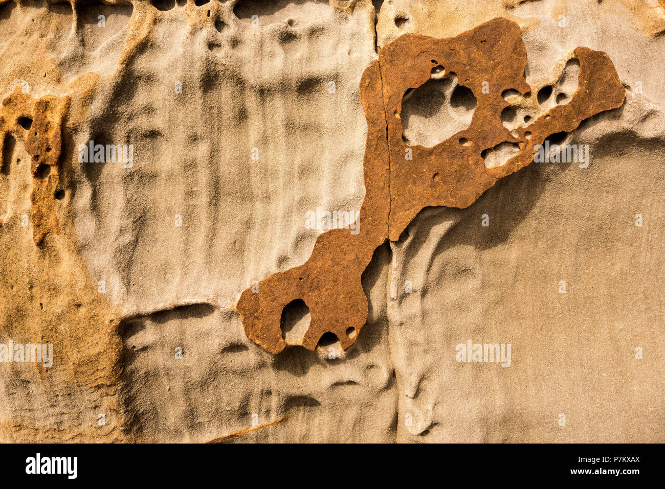 Sandstone structure on the coast of the Indian Ocean Stock Photo - Alamy