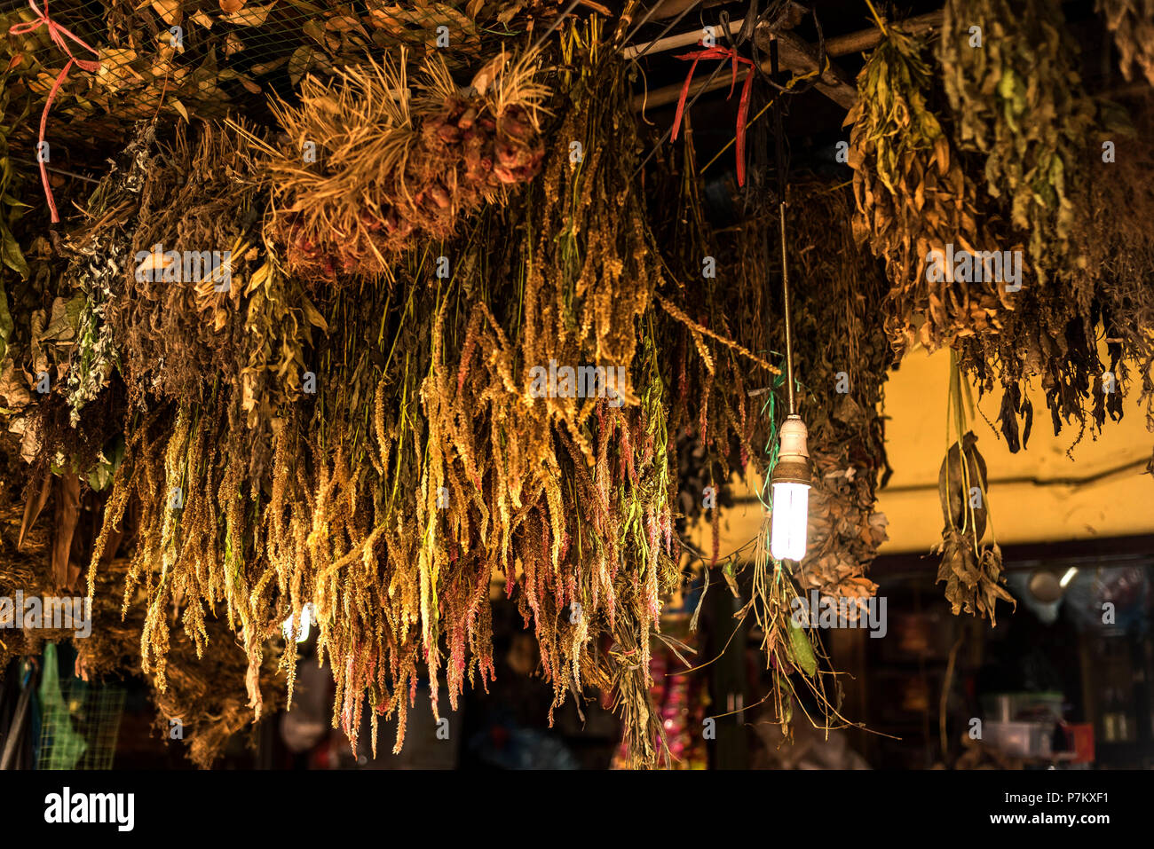 Under the cover of a natural pharmacy, flowers and blossoms are dried ...