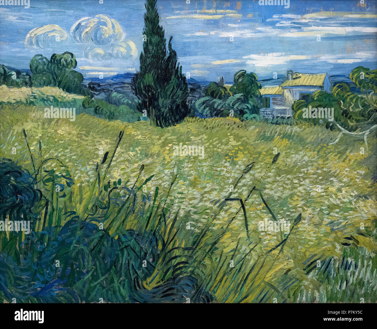 Vincent van Gogh (1853-1890), Green Corn (Green Wheat Field with ...