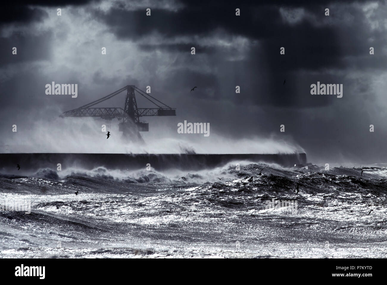 Cold and windy morning in the portuguese coast Stock Photo - Alamy