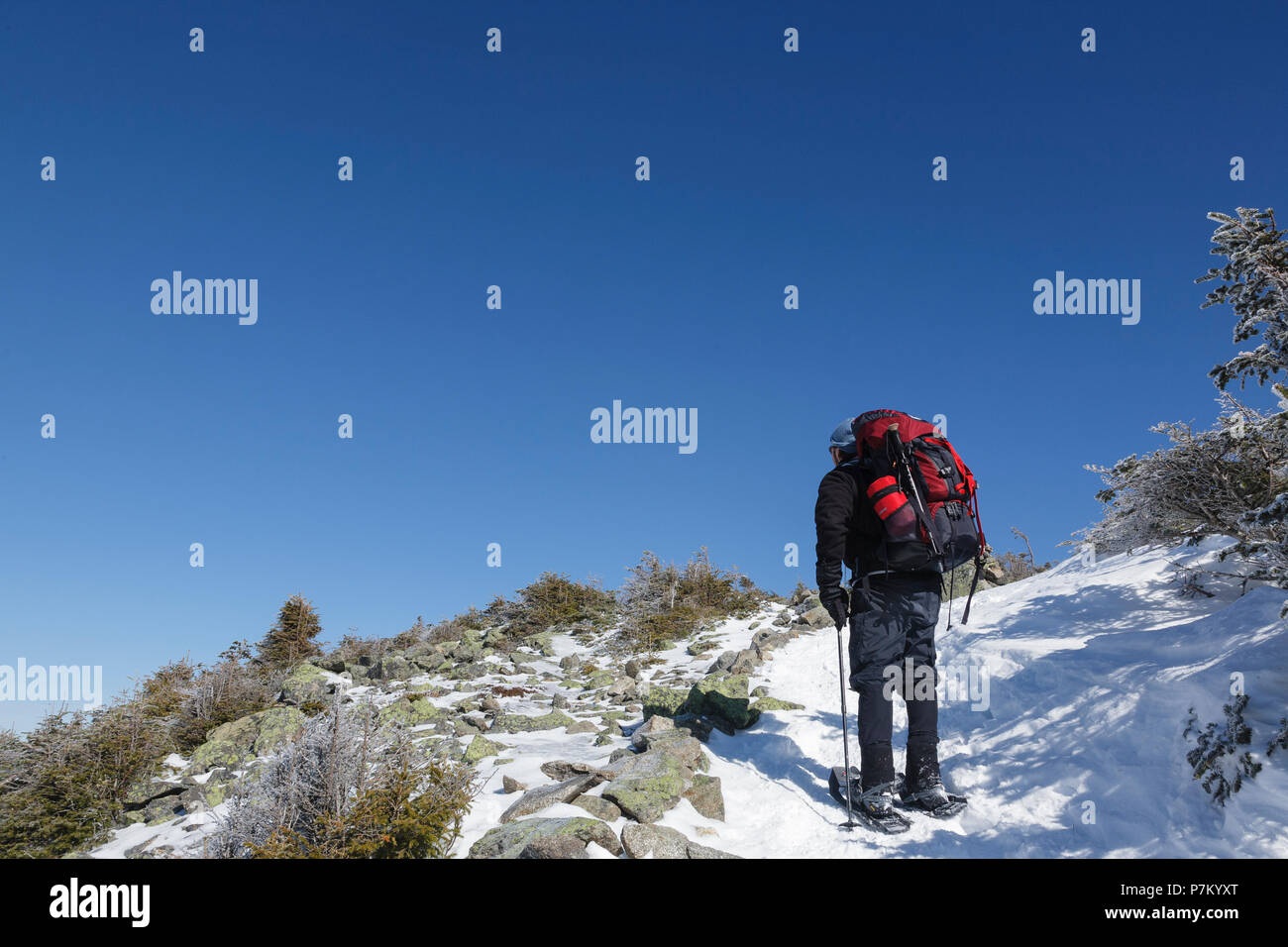 Hikers ascending Greenleaf Trail in the White Mountains, New Hampshire ...
