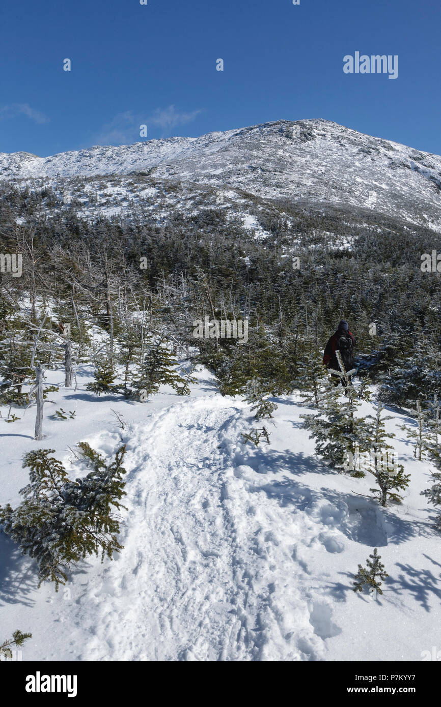Hikers ascending Greenleaf Trail in the White Mountains, New Hampshire ...