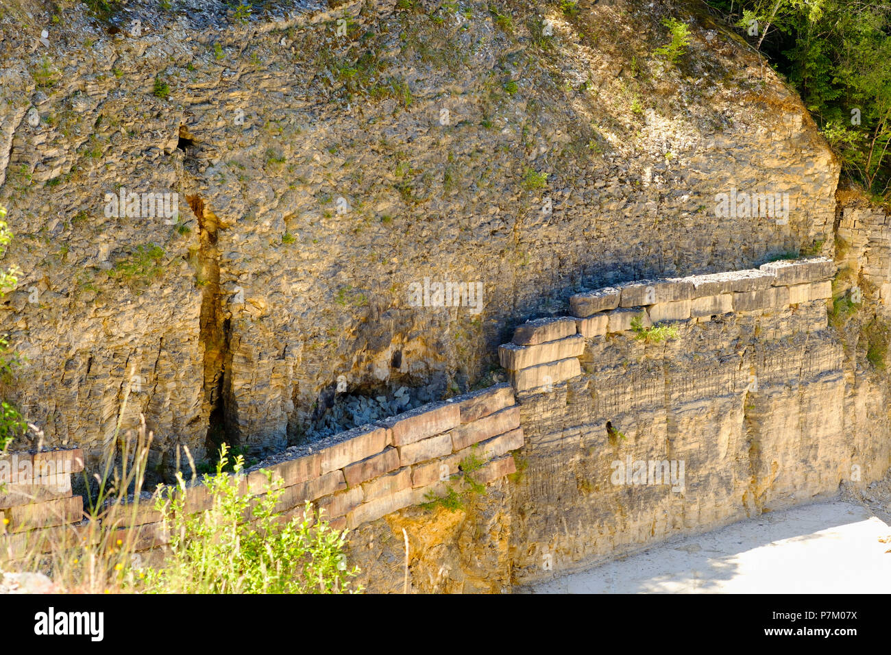 Solnhofen hi-res stock photography and images - Alamy