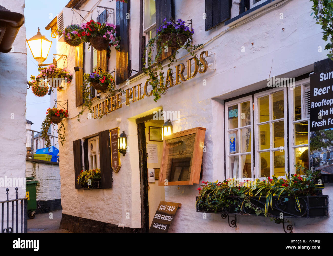 The three pilchards hi-res stock photography and images - Alamy