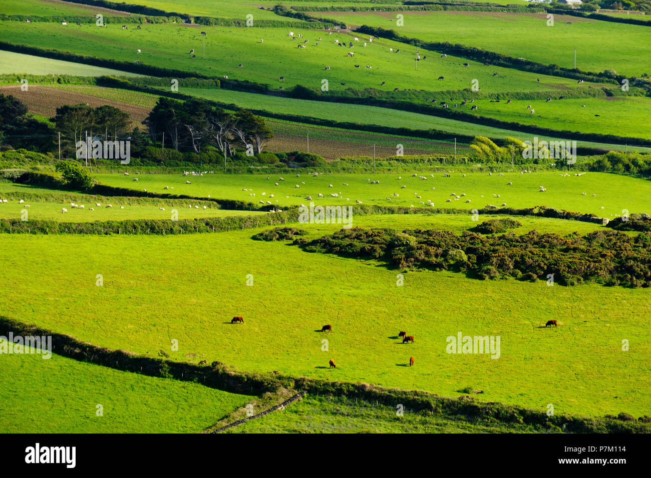 Boscastle cornwall england uk hi-res stock photography and images - Alamy