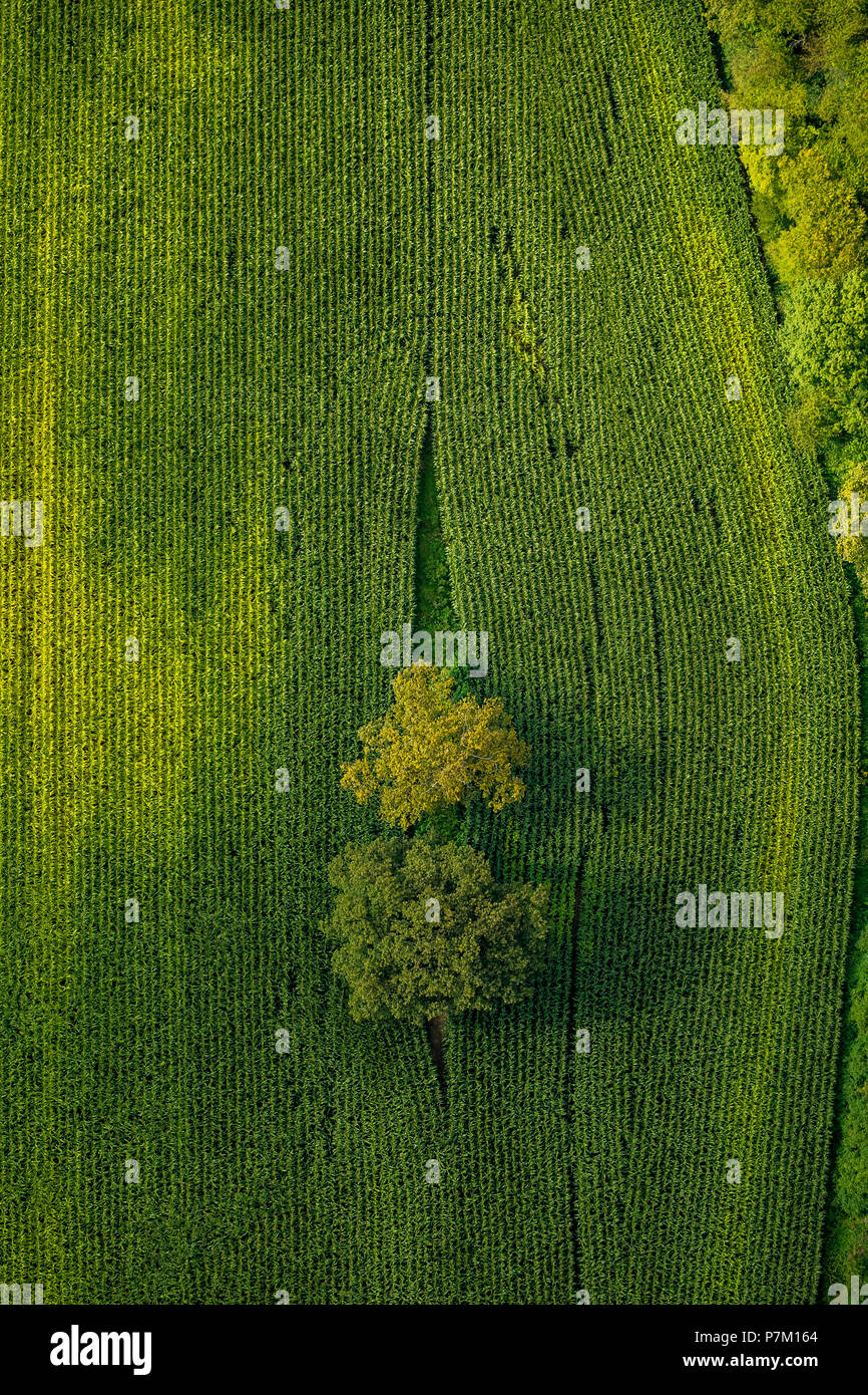 Broad field of view hi-res stock photography and images - Alamy