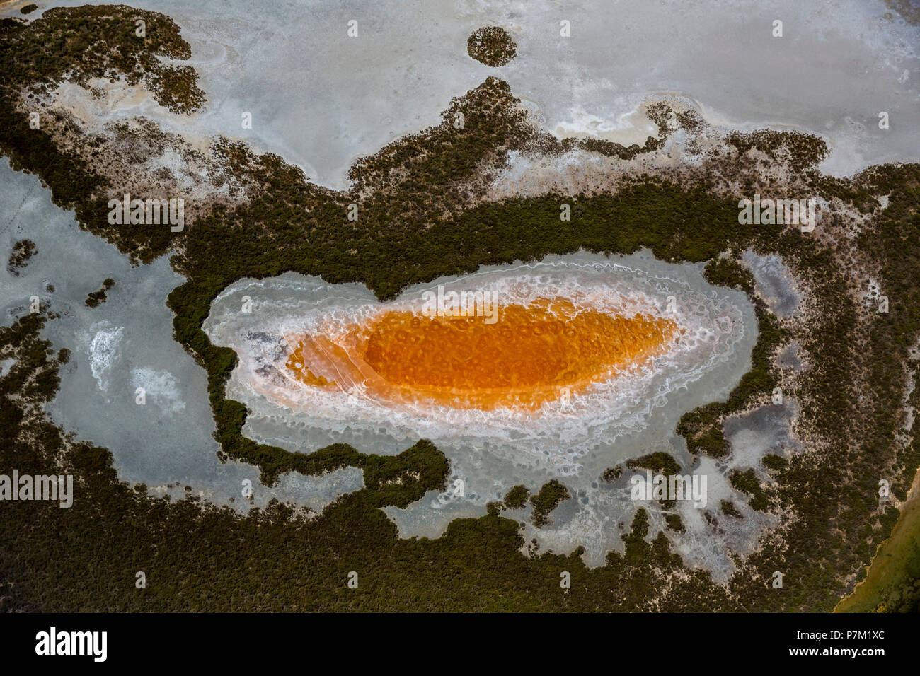 Fleur de sel on the surfaces of the salt evaporation ponds, Petite ...
