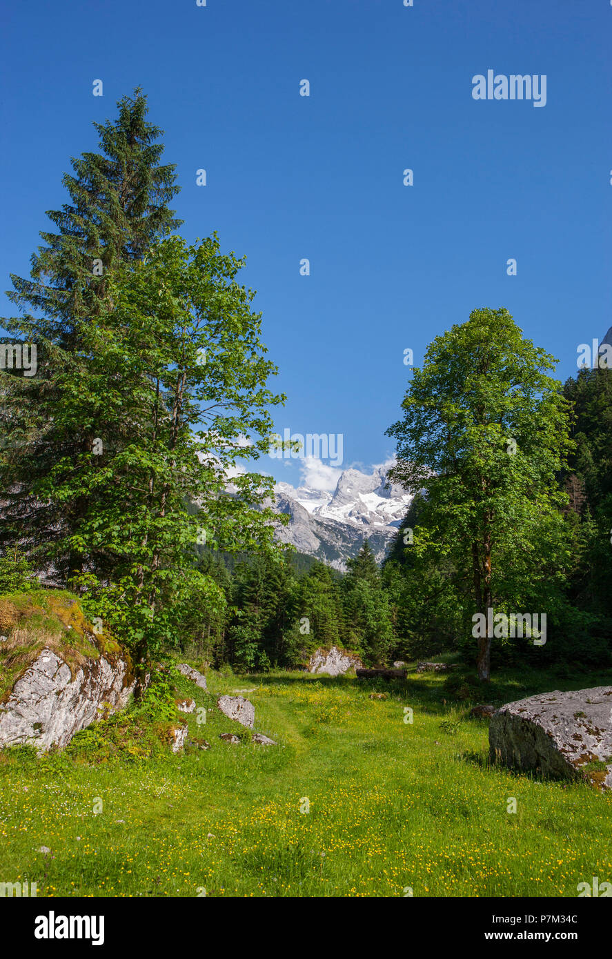 Austria, Upper Austria, Salzkammergut, Gosau, Gosausee, hiking trail ...