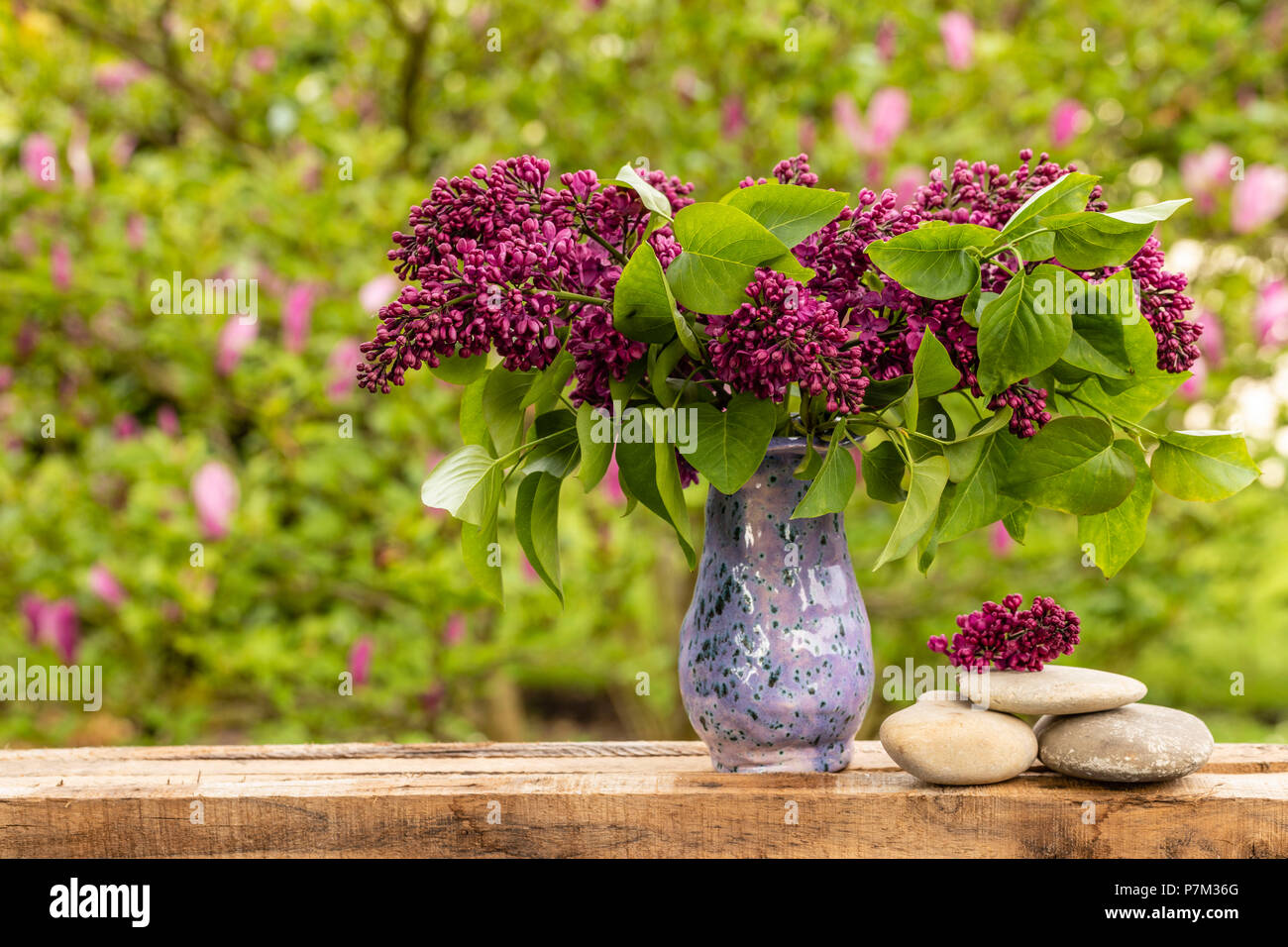 Lilac vase hi-res stock photography and images - Alamy