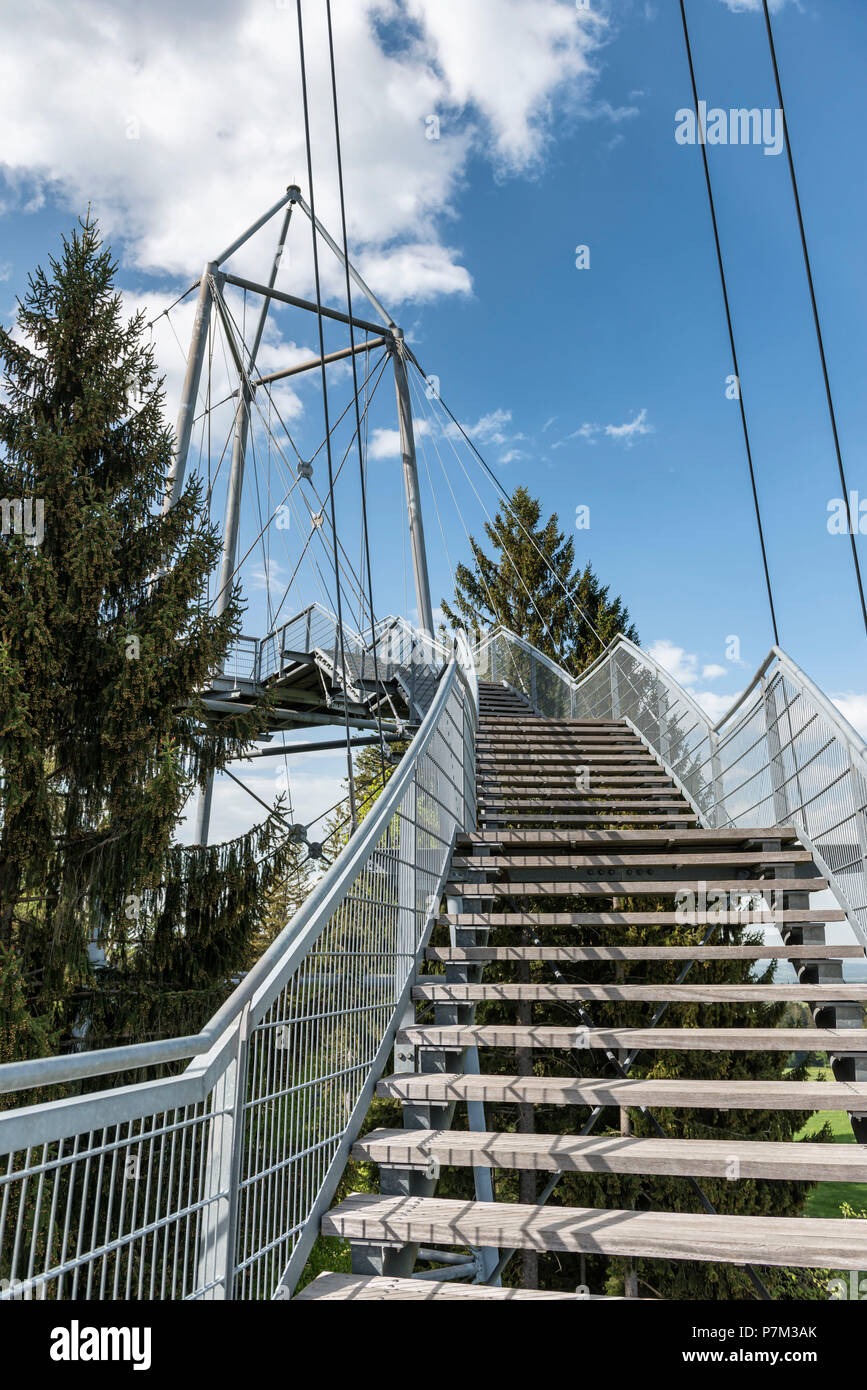 Scheidegg, Bavaria, Germany, The Baumwipfelpfad Skywalk with adventure ...