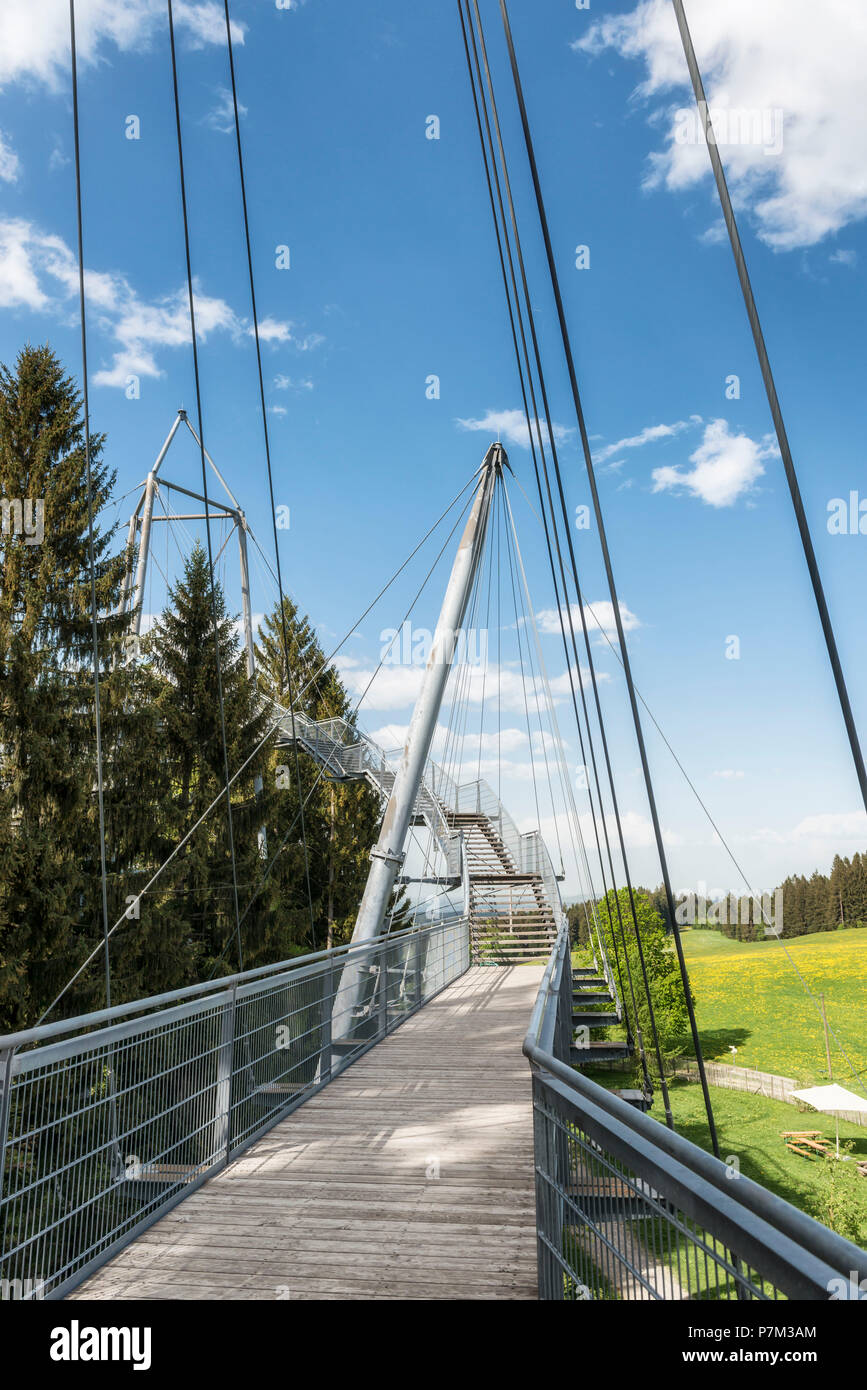 Scheidegg, Bavaria, Germany, The Baumwipfelpfad Skywalk with adventure ...