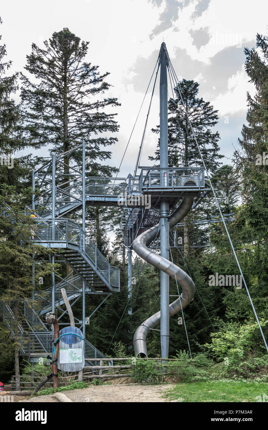Scheidegg, Bavaria, Germany, The Baumwipfelpfad Skywalk with adventure ...