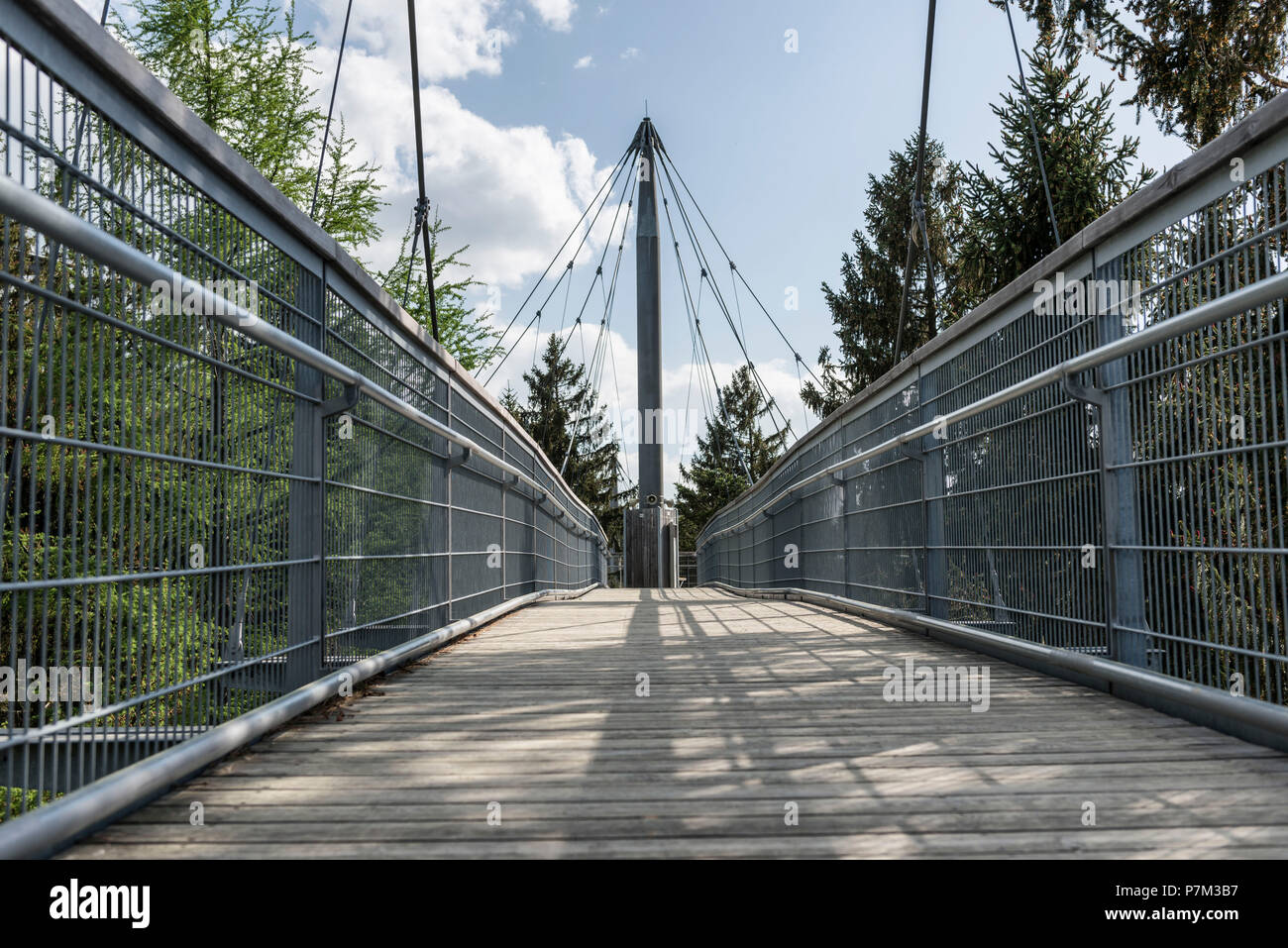 Scheidegg, Bavaria, Germany, The Baumwipfelpfad Skywalk with adventure ...